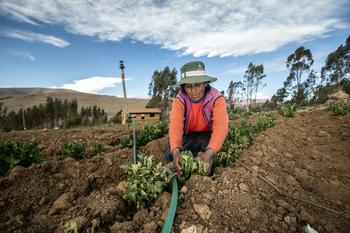 Puna Resiliente - Ecosystem-based Adaptation to Climate Change in the ...