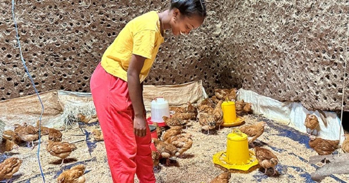 Swapping unemployment for chicken farming | GIZ