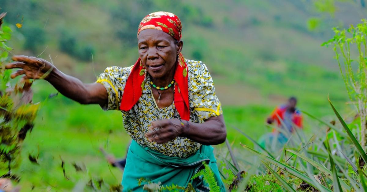 Combatting hunger and climate change with organic farming | GIZ
